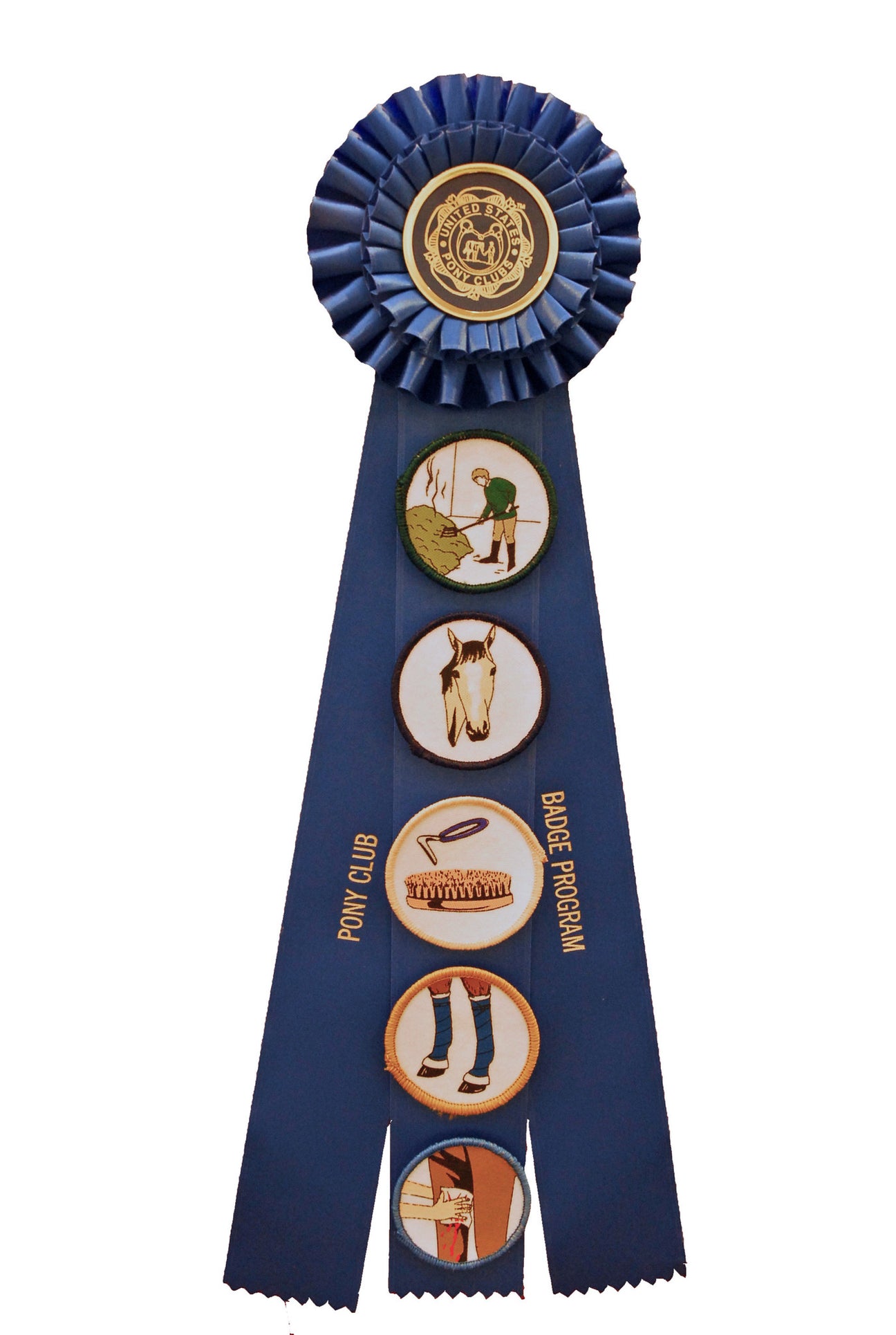 Badge Ribbon – Shop Pony Club