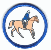 Badge - Set of 10 Riding – Shop Pony Club