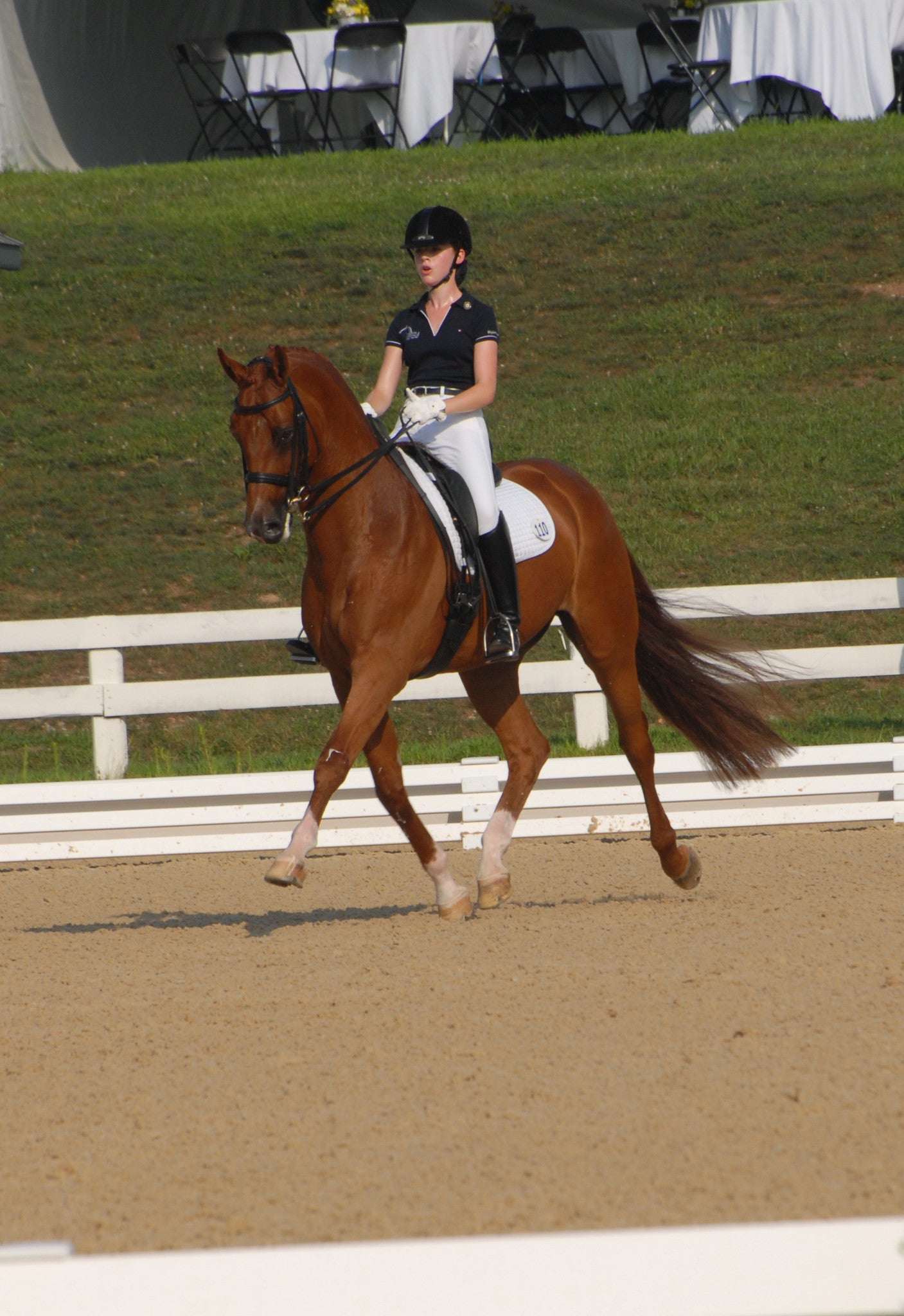 USPC Dressage Score Sheets – Shop Pony Club