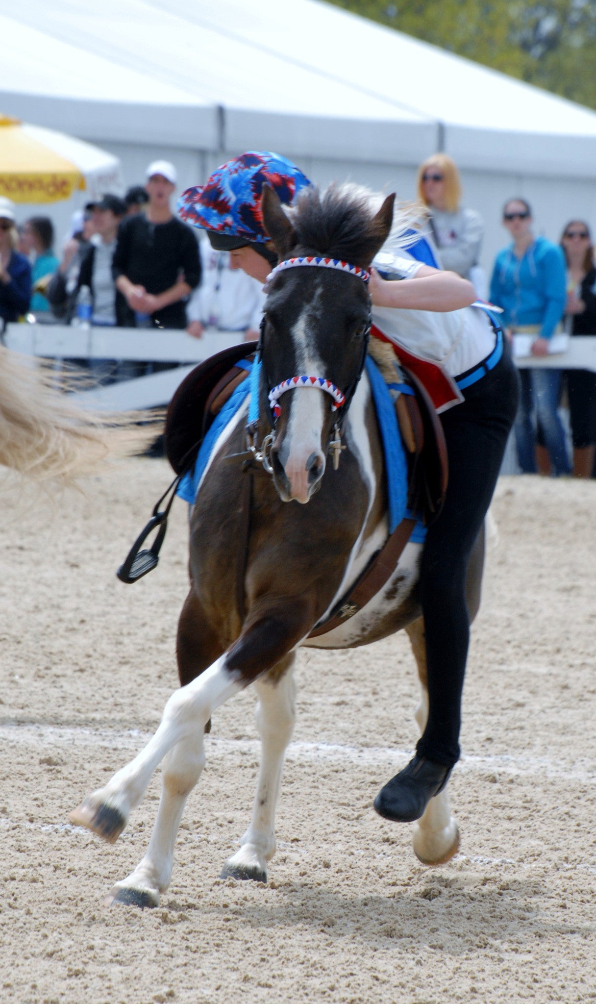 USPC Mounted Games Score Sheets – Shop Pony Club