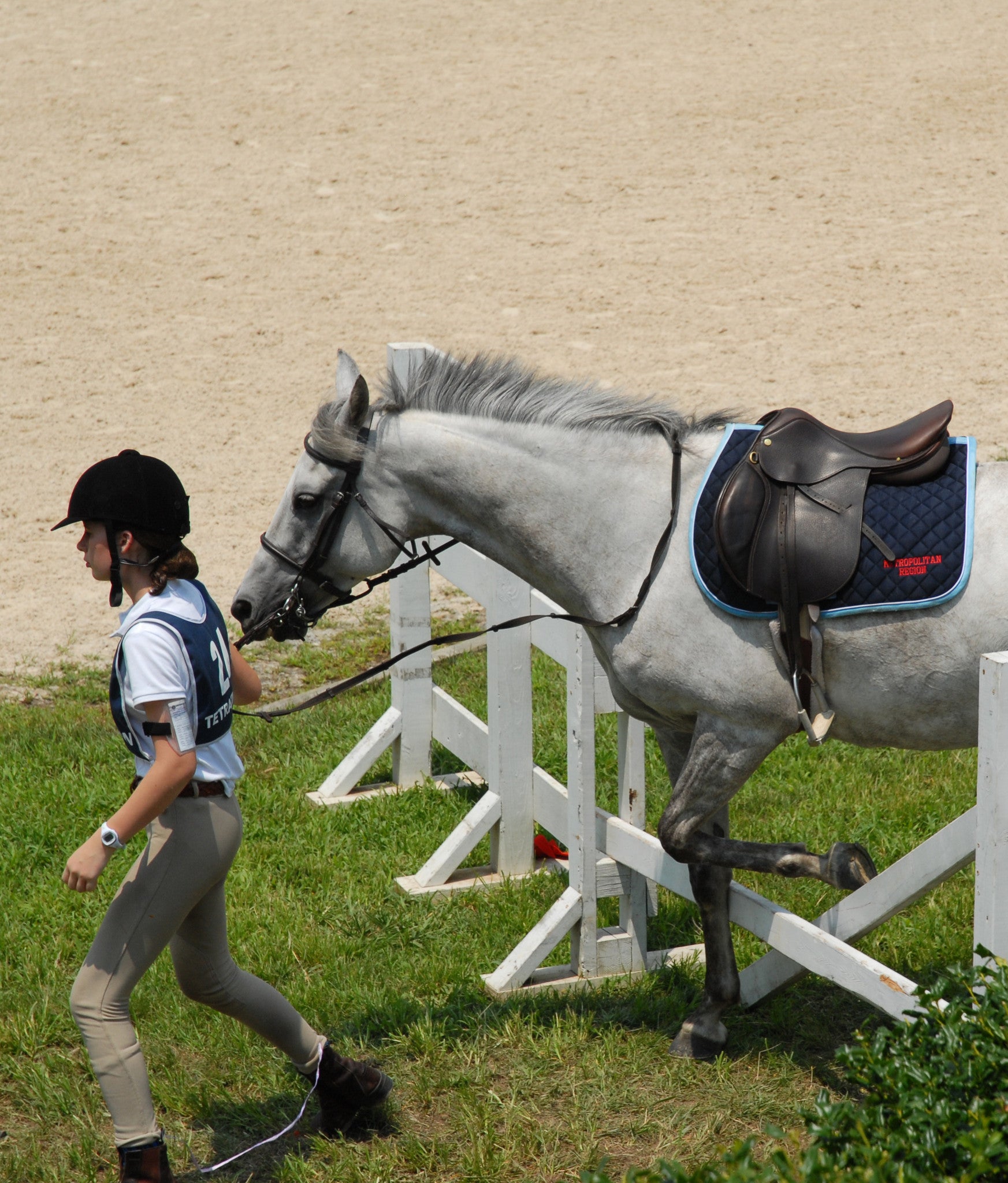 USPC Tetrathlon Score Sheets – Shop Pony Club
